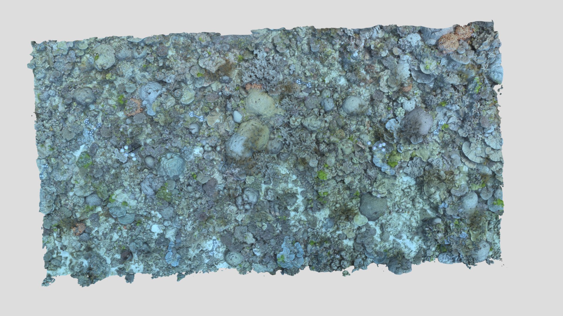 Heron_FR1D_P4_202105 - Download Free 3D model by EcoRRAP (@AIMSEcoRRAP ...