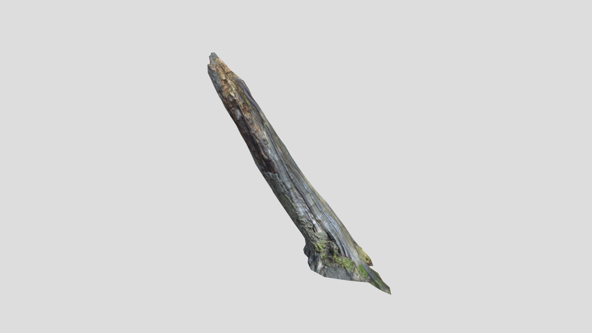 Broken Tree - 3D model by AnuarchL [baac82a] - Sketchfab