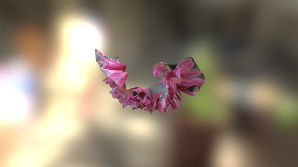 FLOWER2 - 3D model by hcdubois [bab4059] - Sketchfab