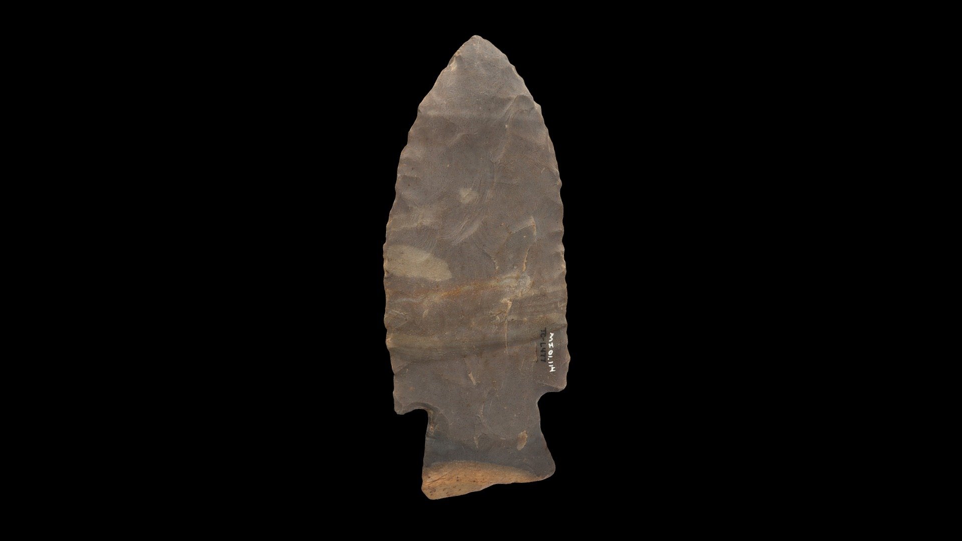 Large Projectile Point - 3D model by Evelyn Gaunt (@evelyng) [bab614d ...