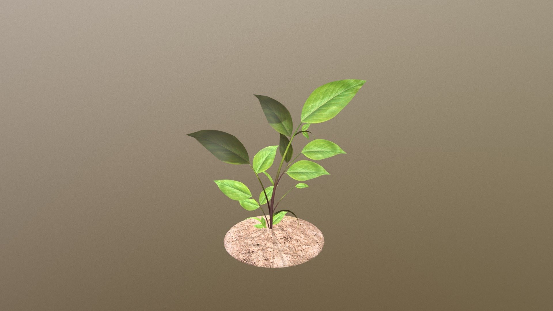 Plant FBX - Download Free 3D model by Jai.Gupta [babffaf] - Sketchfab