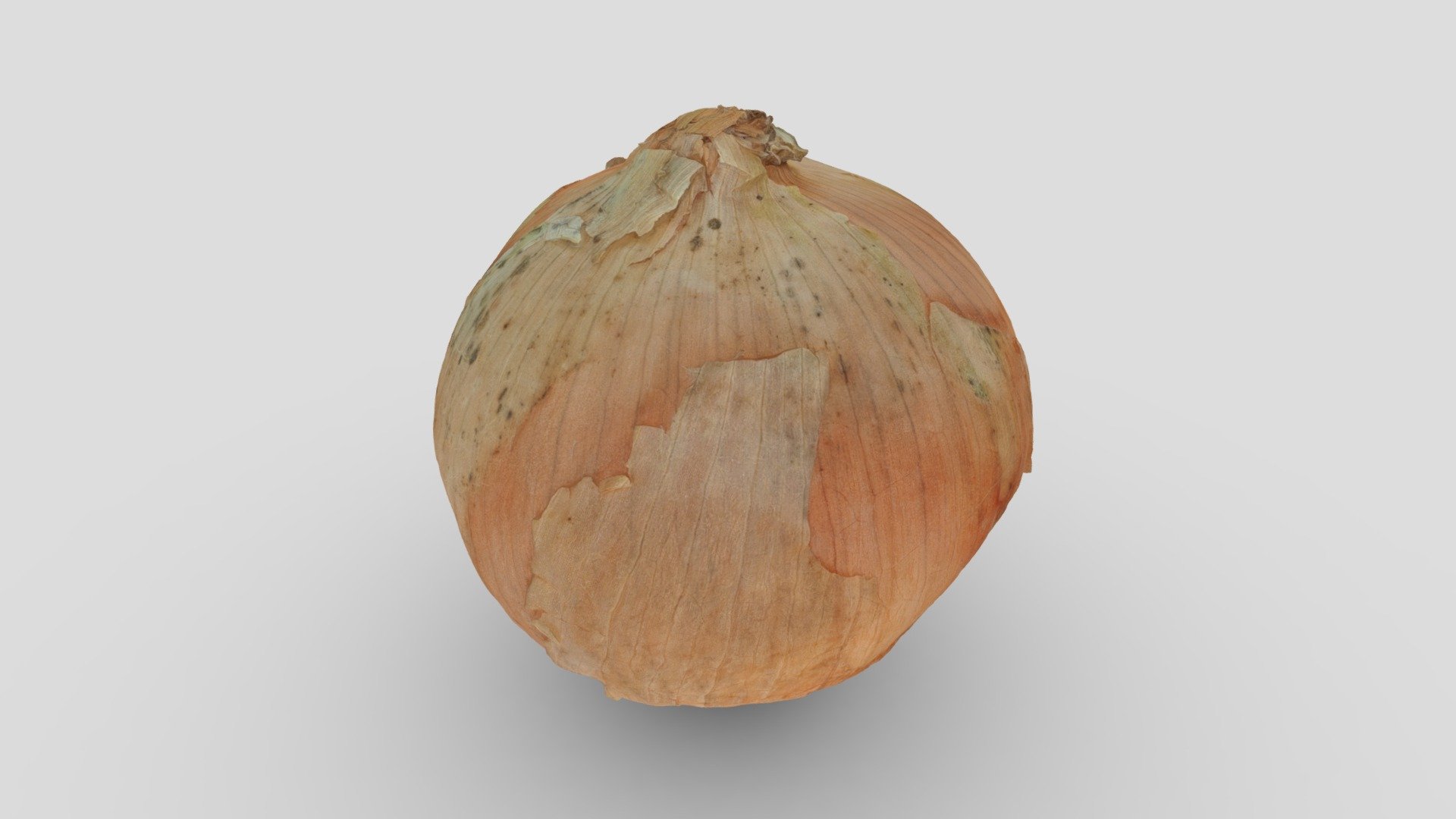Onion(3d Scan) - Download Free 3D model by tanophotogrammetry [bac0cee ...