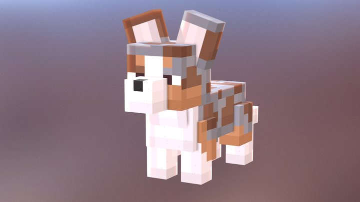 Corgi 3D models - Sketchfab