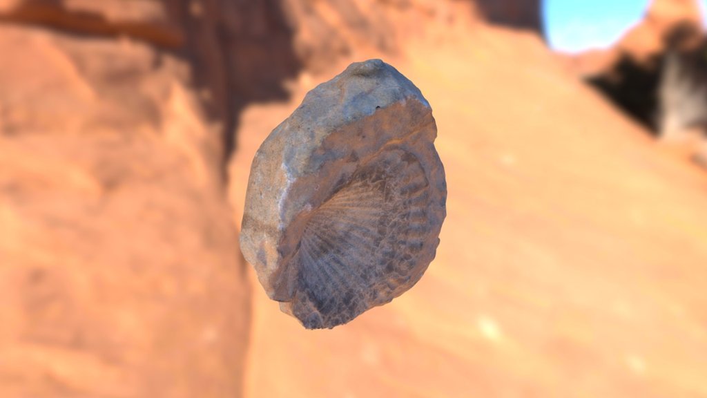 Empreinte Fossile - 3D model by PHIO [bae7027] - Sketchfab