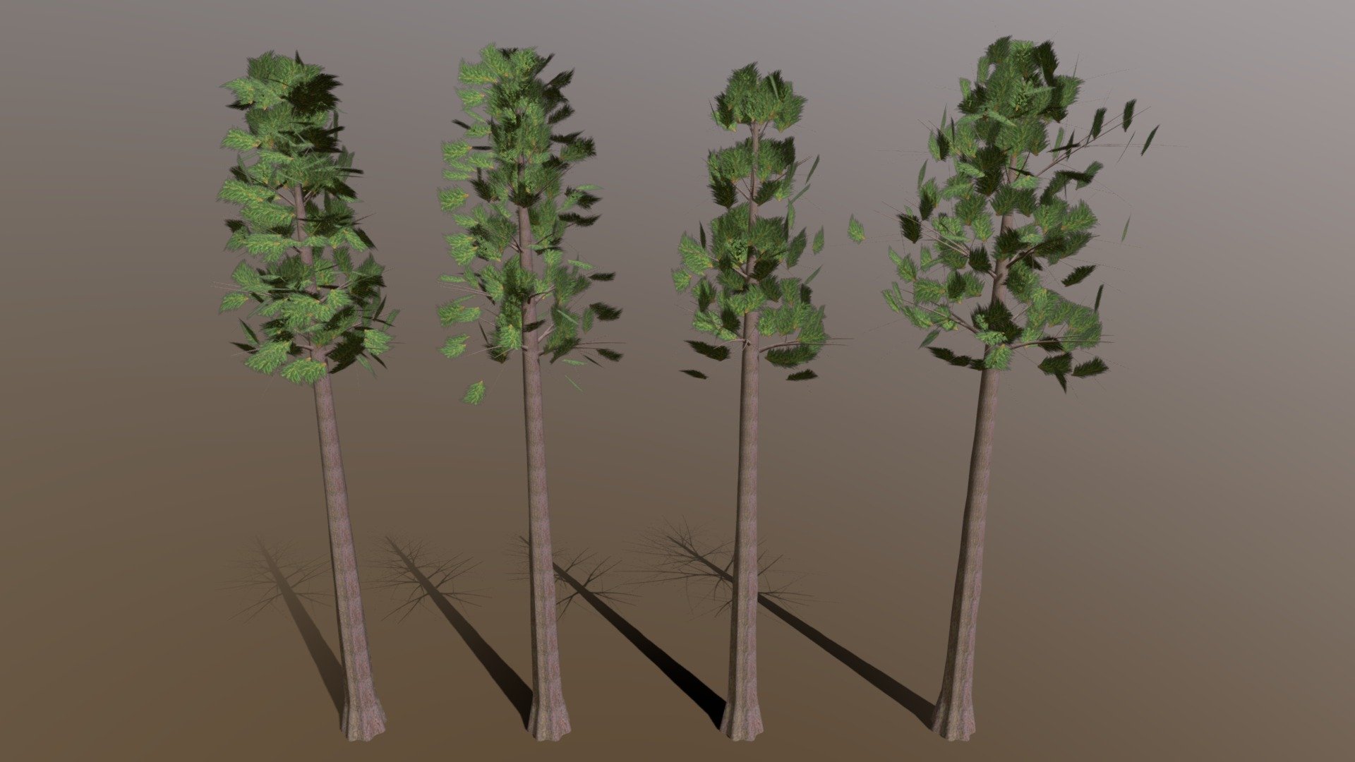 Scots Pine Trees - Download Free 3D model by RBG_illustrations [bae9fb0 ...