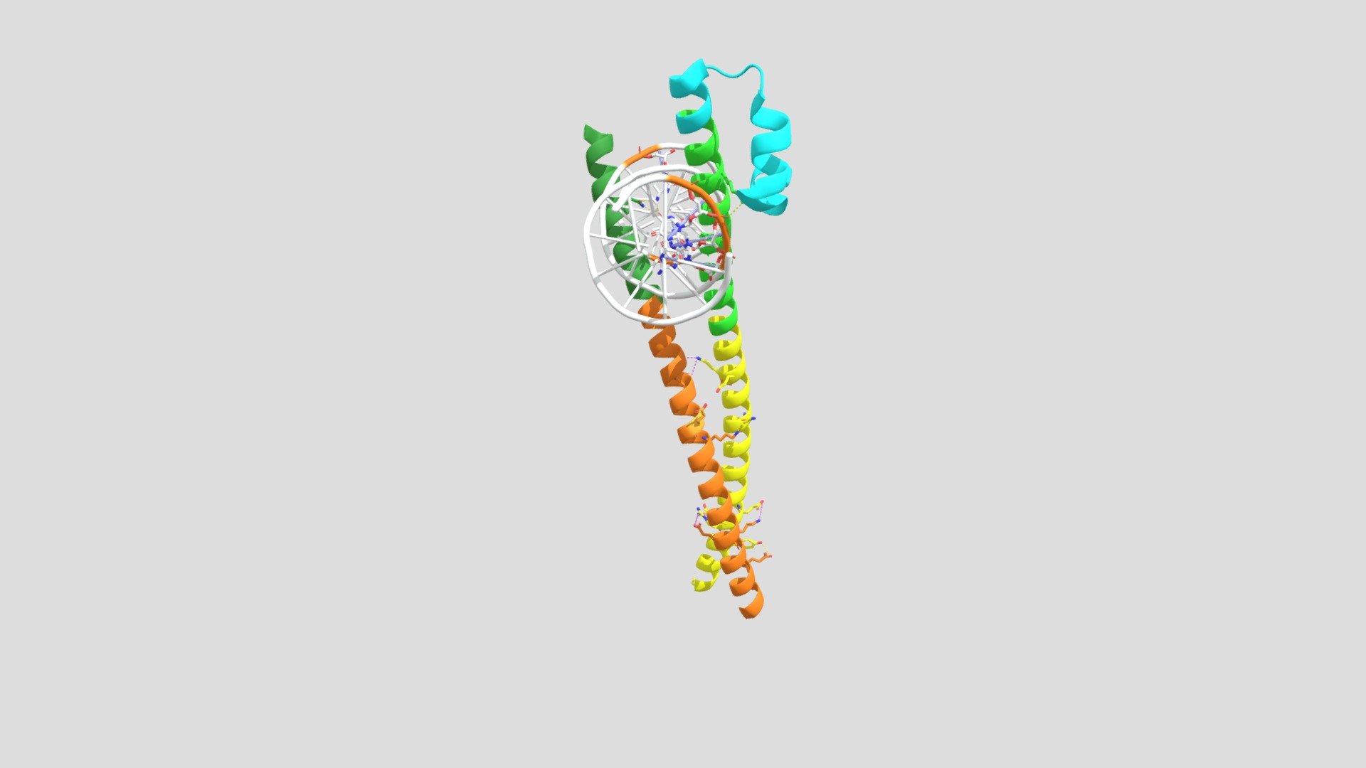 2wt7: heterodimer leucine zipper Mafb/c-Fos - 3D model by ryL3357 ...