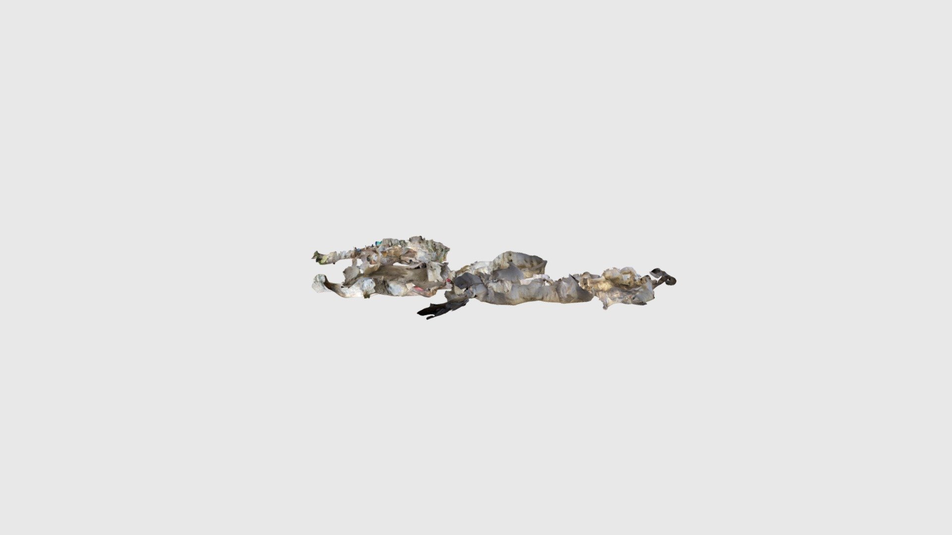35. OG. H1- scan nen hang - Download Free 3D model by Sapiens ...