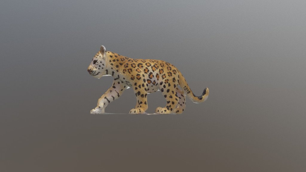 leopard - 3D model by rhicks0614 [bb028f1] - Sketchfab