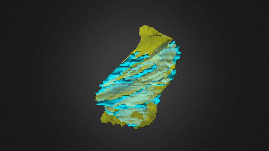 Masseter and its muscle fiber - 3D model by sdssoft [bb0310c] - Sketchfab