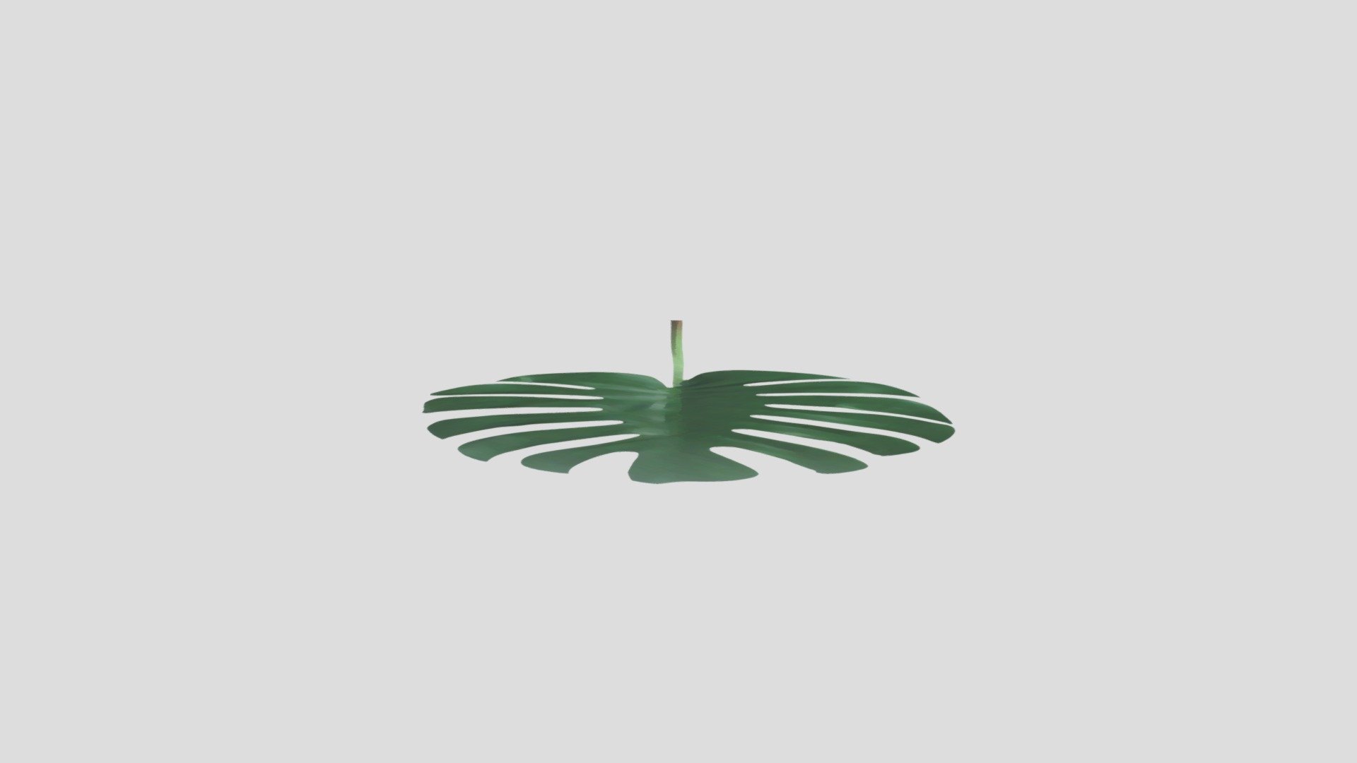 leaf map - 3D model by joesteen [bb05ae4] - Sketchfab