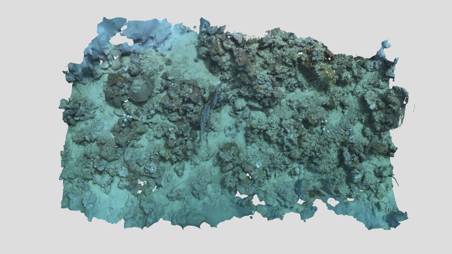 Masig_FR2D_P3_202203 - Download Free 3D model by EcoRRAP (@AIMSEcoRRAP ...