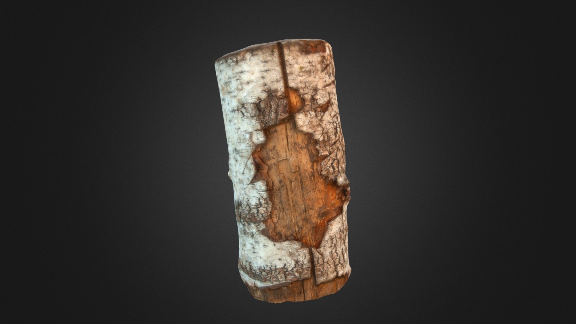 Stump - Download Free 3D model by Azamat (@azamat.hlsd) [bb076c3 ...