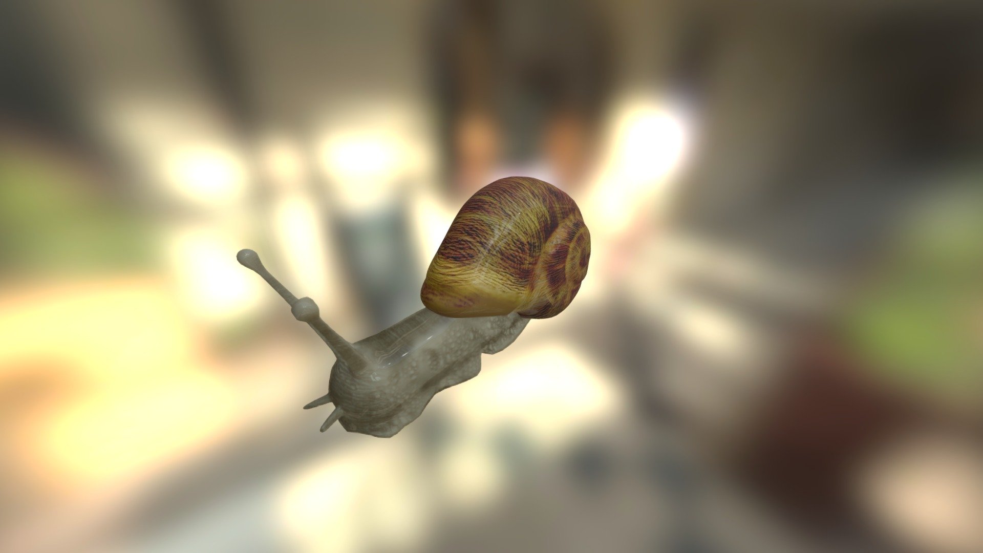 Snail - Download Free 3D model by misfit410 [bb08d9f] - Sketchfab