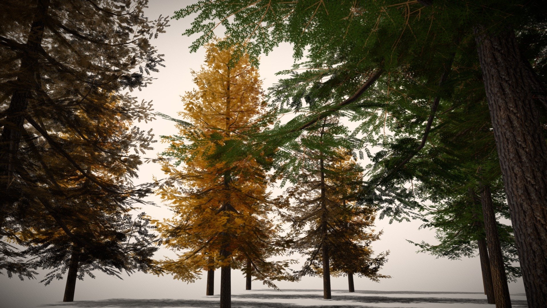 Pine Trees Low-Mid Poly - Buy Royalty Free 3D model by Nicholas-3D ...