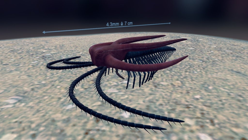 Marella - 3D model by Adific Studio (@adistudio) [bb1c7f8] - Sketchfab