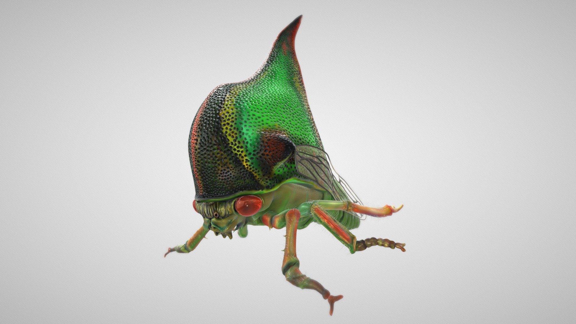 Thorn Bug - Download Free 3D model by Works by Tash (@worksbytash ...