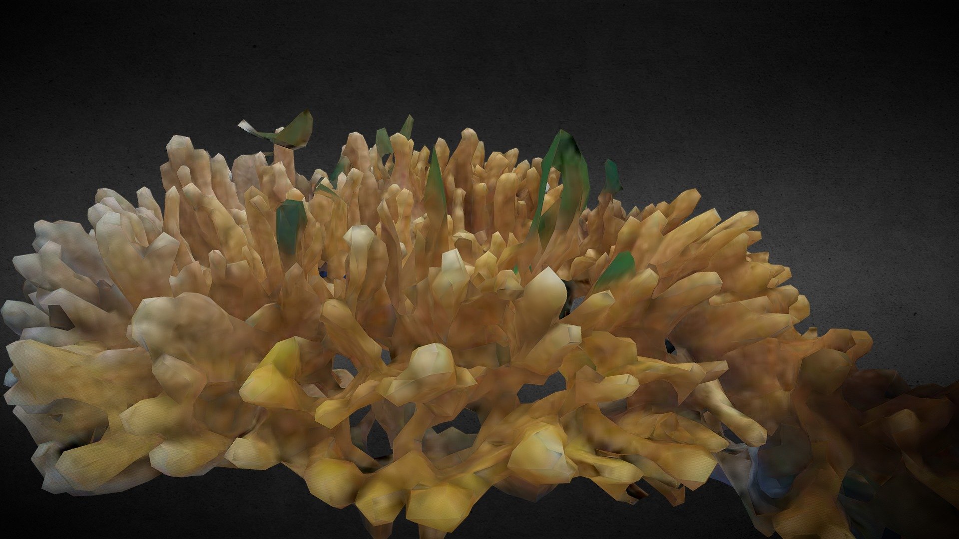Coral sample (for the ScubaVerse) - Download Free 3D model by Drone ...