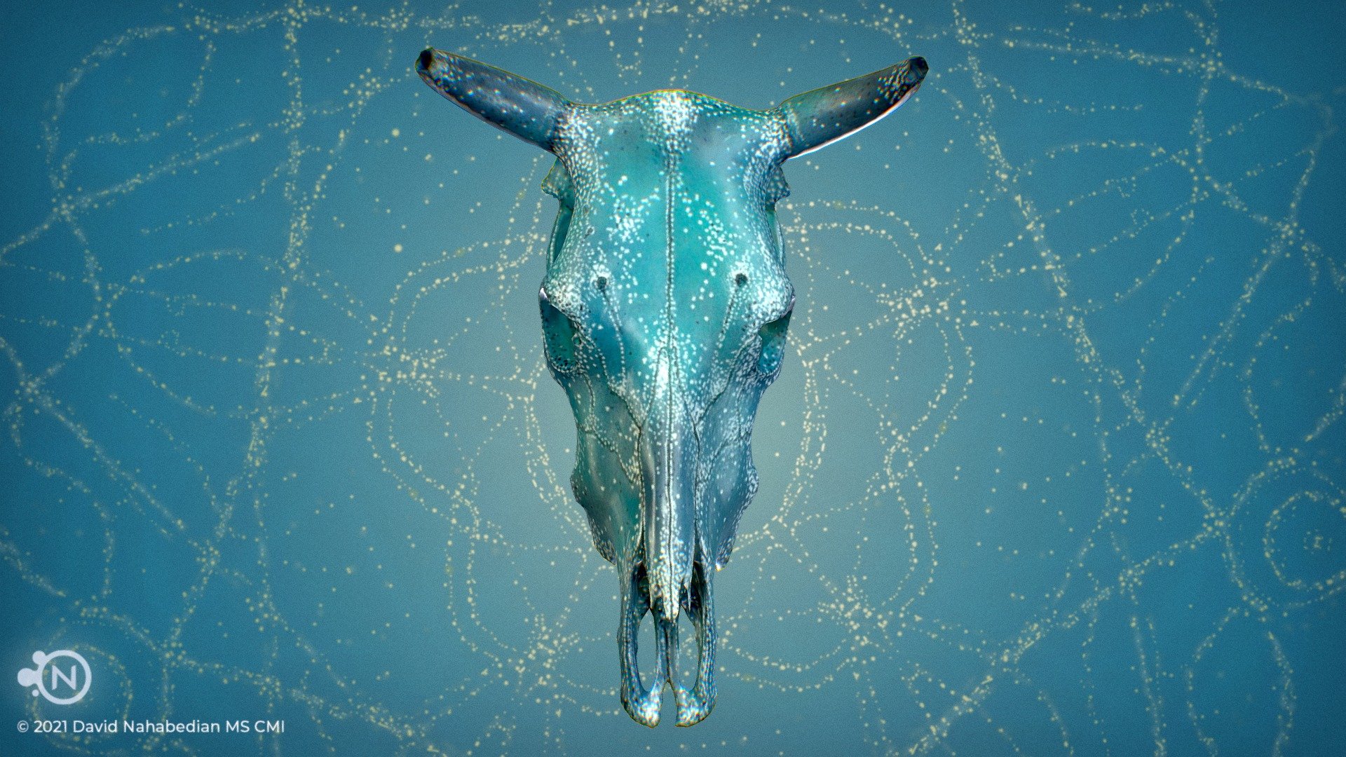 Painted Bull Skull 3D Scan - 3D model by The Center for BioMedical ...