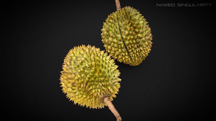 Durian 3D models - Sketchfab