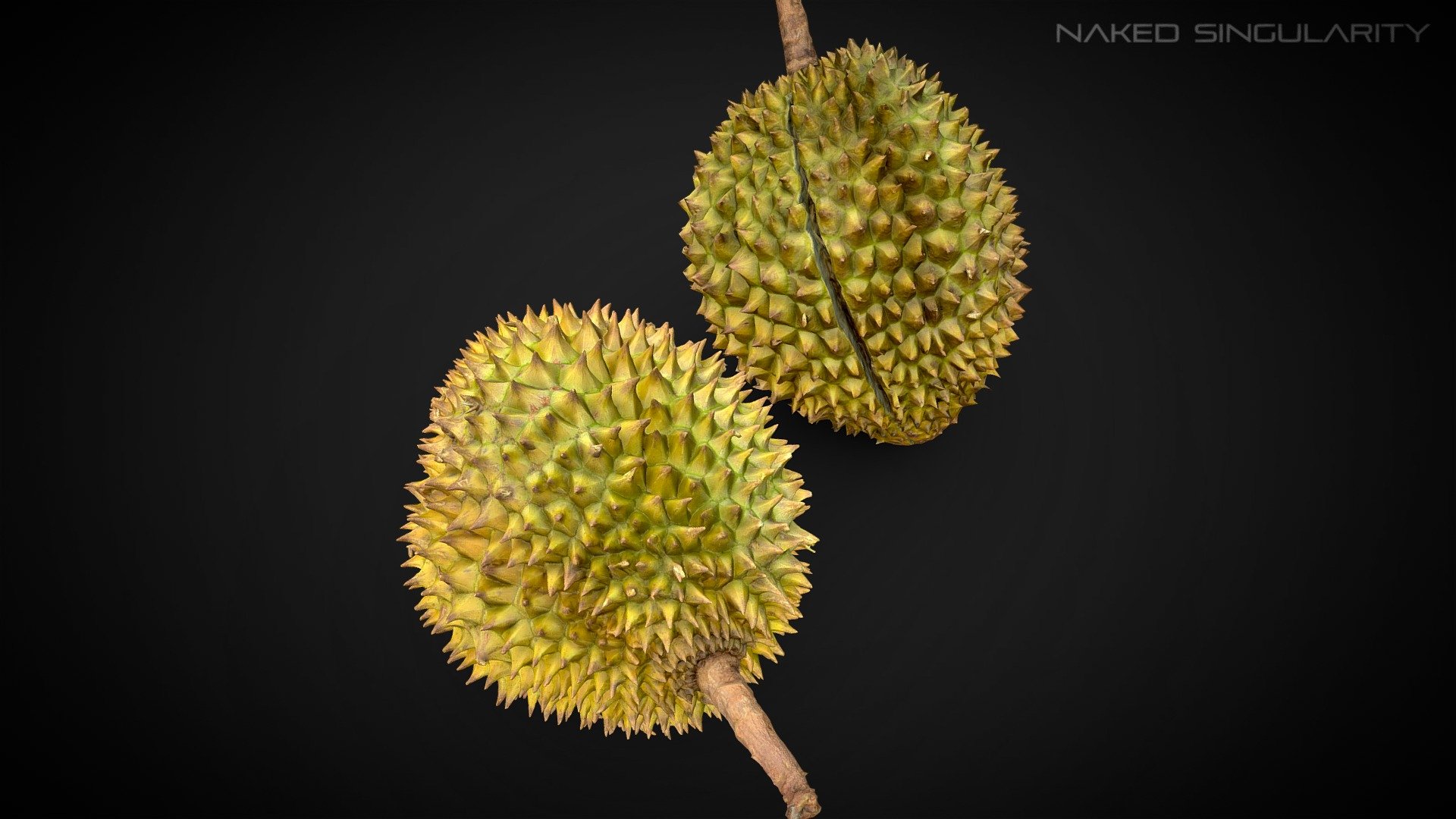 3D Scan fruit - Durian photogrammetry 4K - Buy Royalty Free 3D model by ...