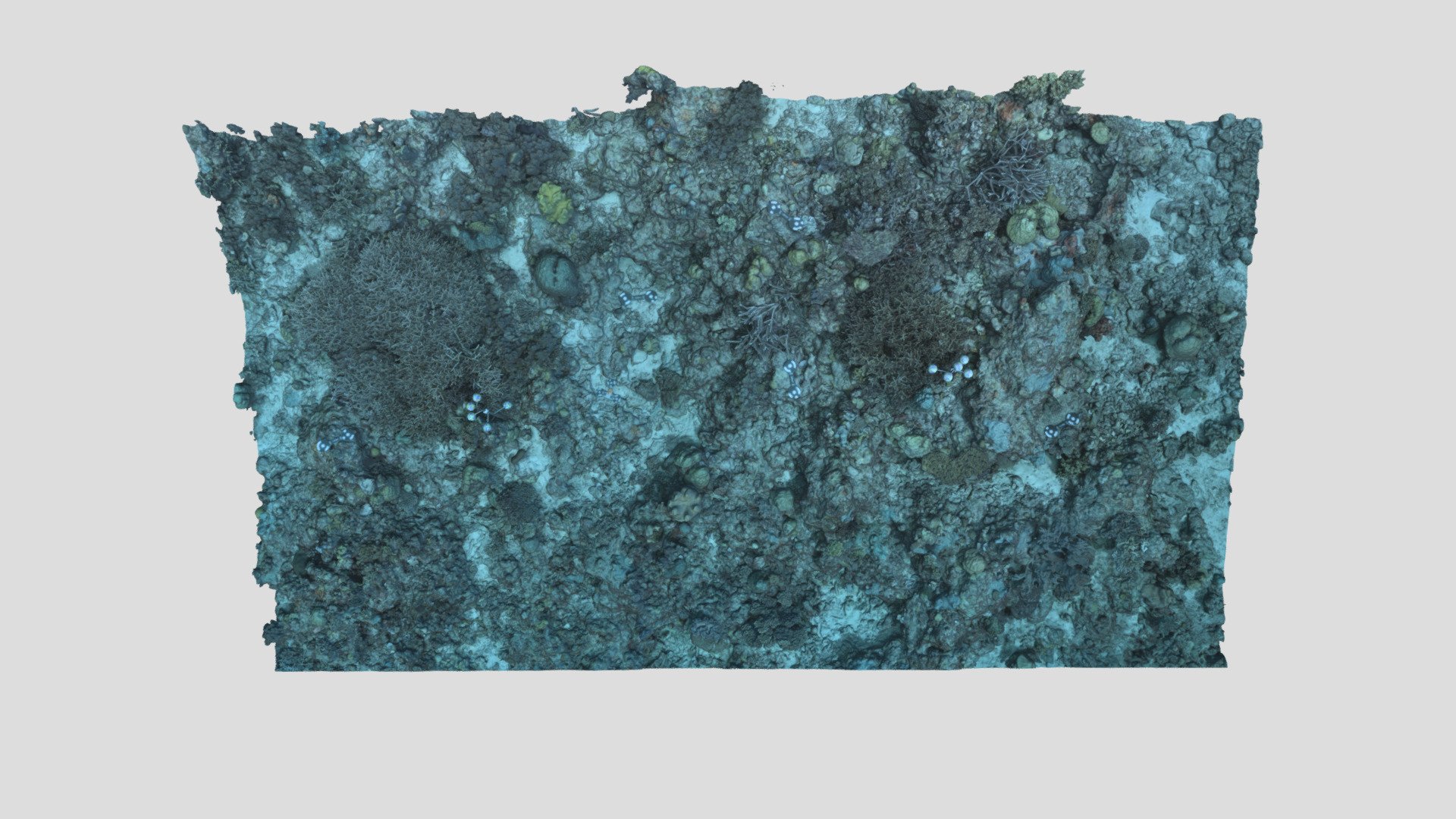 Davies_BA1D_P2_202301 - 3D model by EcoRRAP (@AIMSEcoRRAP) [bb2d5d9 ...