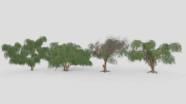 3d-prosopis-collection 3D models - Sketchfab