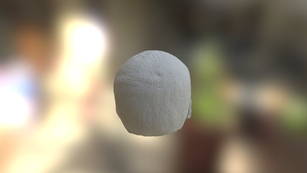 Model 1 Tissue - 3D model by kevinERliang [bb30262] - Sketchfab