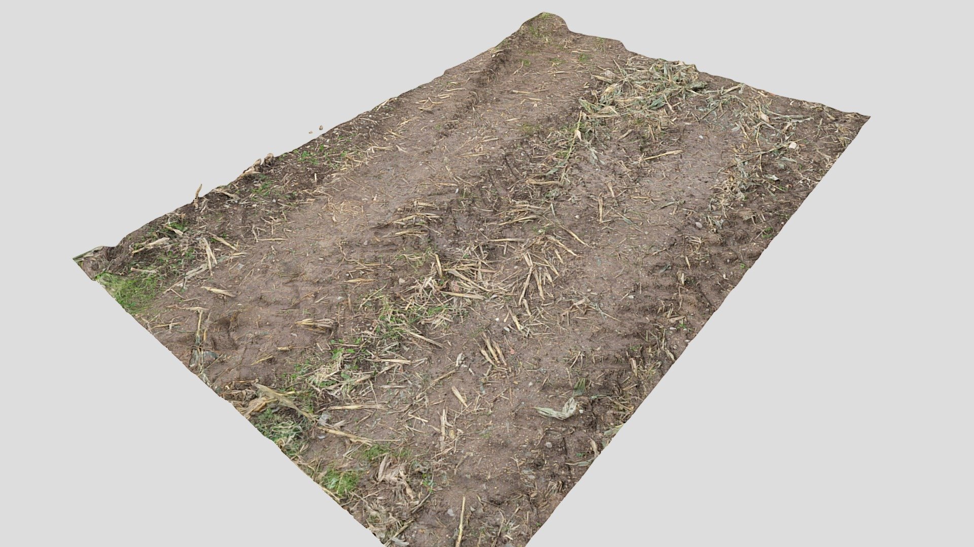 Ground Scan 8k 030 - Buy Royalty Free 3D model by immerge [bb31e68 ...