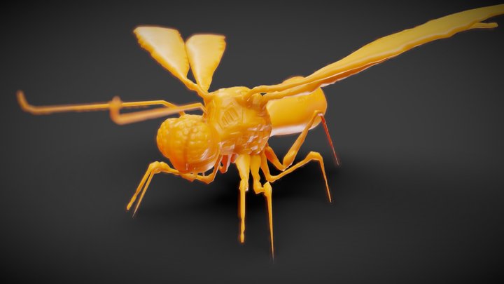 Pest 3D models - Sketchfab