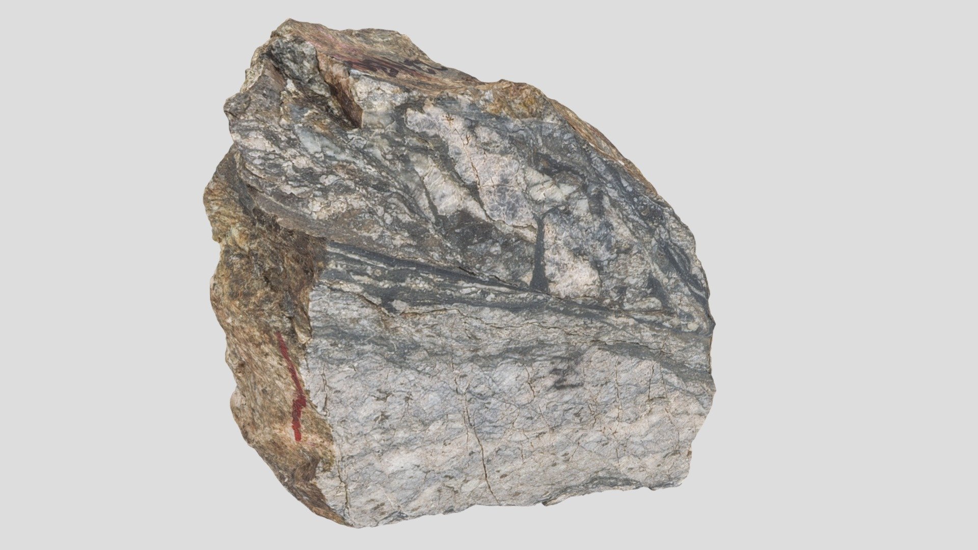 New Jena specimen No 12 - Download Free 3D model by Marko Vrabec ...
