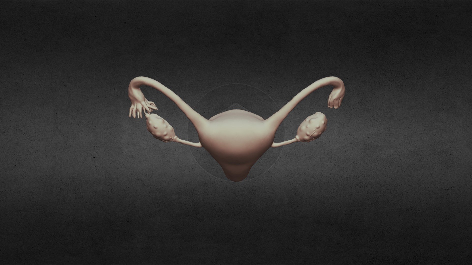 Uterus - 3D model by Fablab Station (@woolpit) [bb4d0e9] - Sketchfab