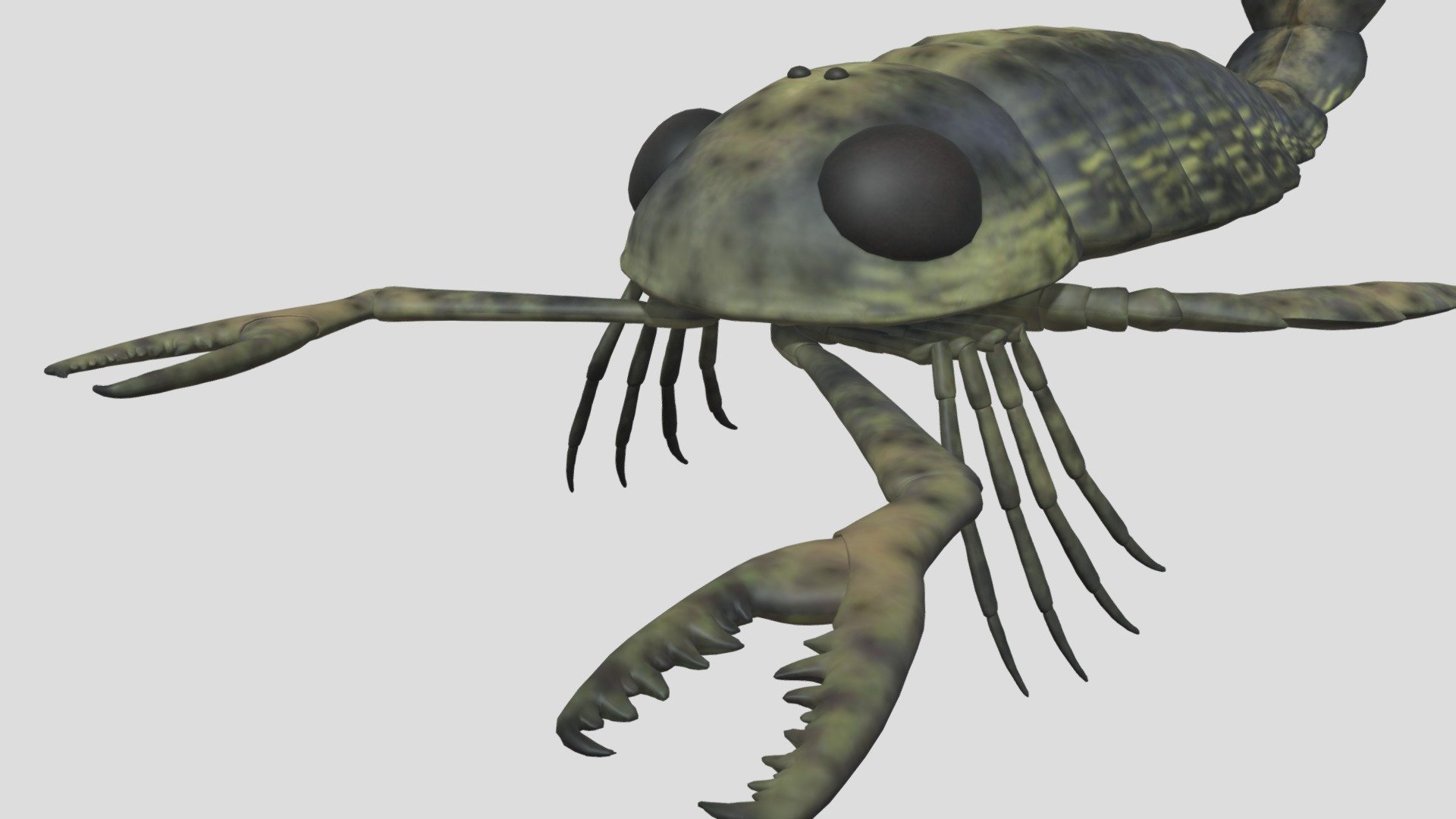pterygotus - Download Free 3D model by seth the yutyrannus ...