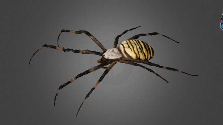 Cc0 3D models - Sketchfab