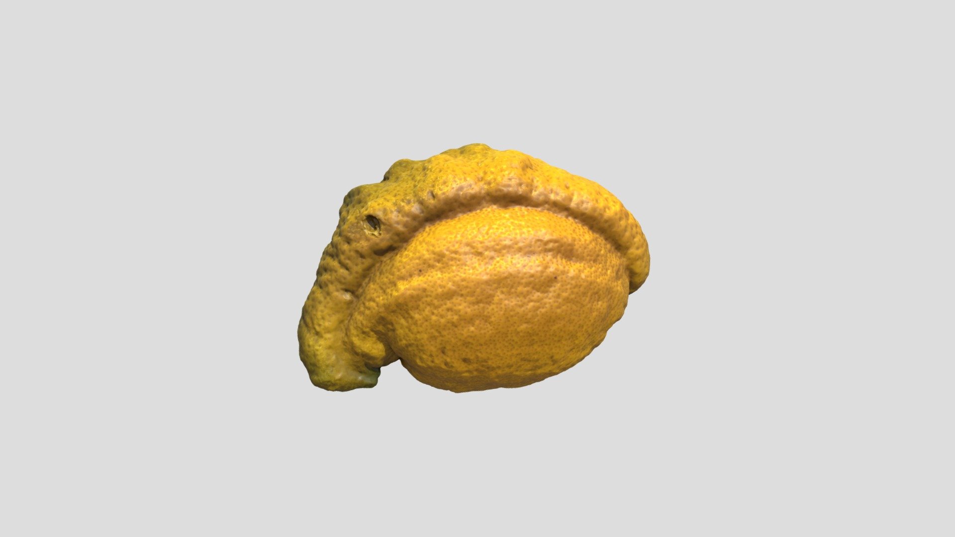 Deformed Lemon - Download Free 3D model by dazzzz [bb65024] - Sketchfab