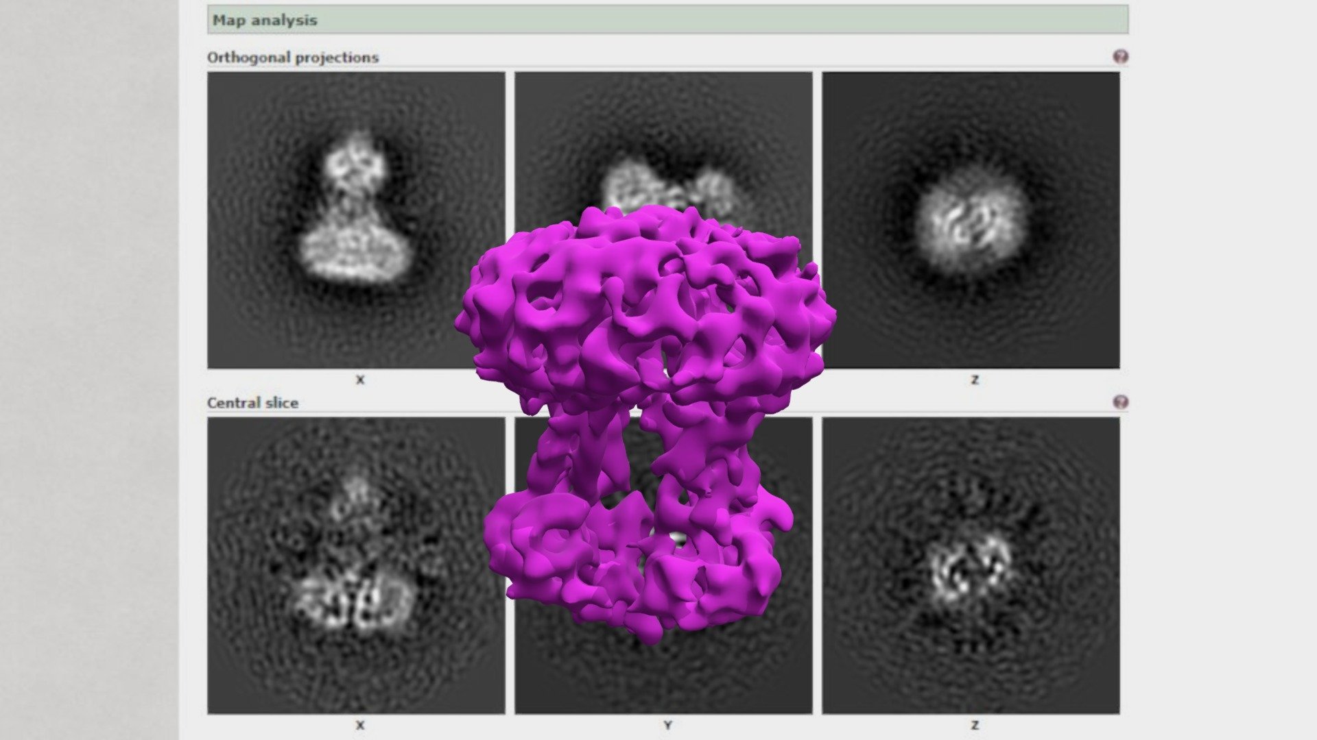 EMDB › EMD-8465 - 3D model by Interactive 3D Data (@proteinsimulation ...
