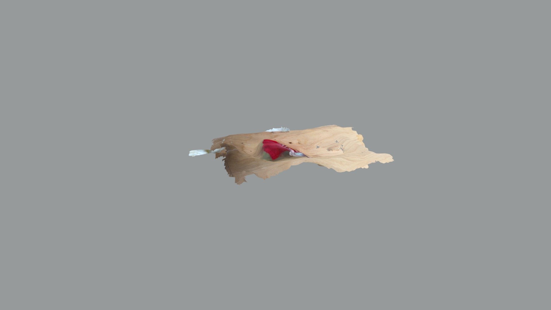 Welsh - Download Free 3D model by gailkenning [bb6fab3] - Sketchfab