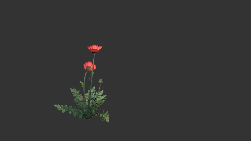 Poppy - 3D model by kingtrashboat [bb70081] - Sketchfab