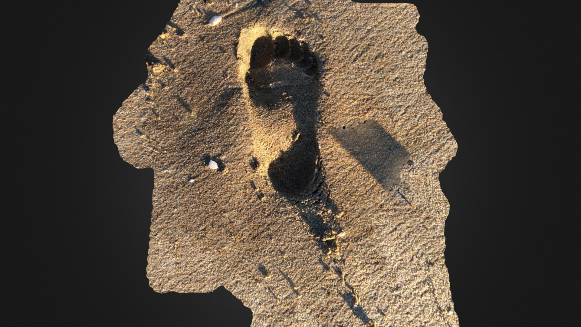 Scanned someone's footprint on the beach - 3D model by jtressle ...
