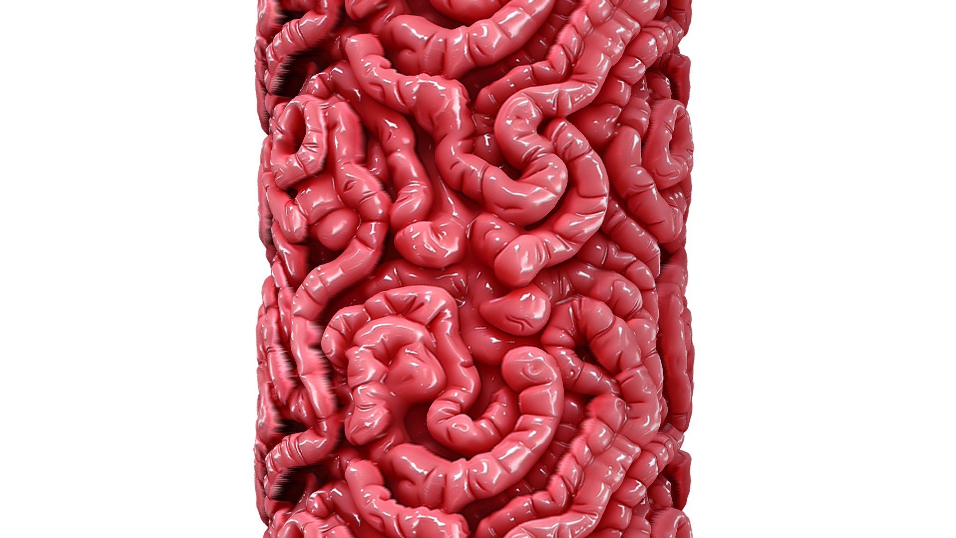 Anatomy Seamless Texture - Buy Royalty Free 3D model by zames1992 [bb7afcc] - Sketchfab Store