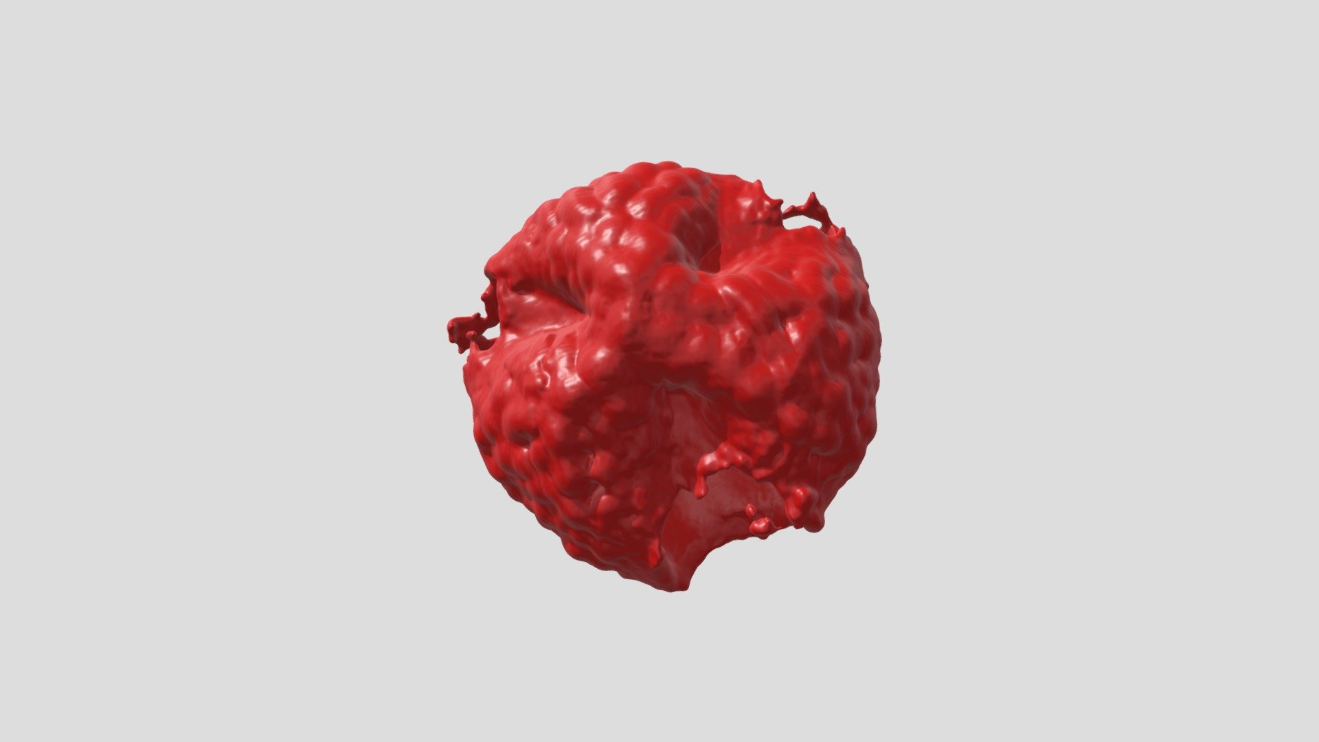Common holly (Ilex aquifolium) pollen - 3D model by Cardiff University ...