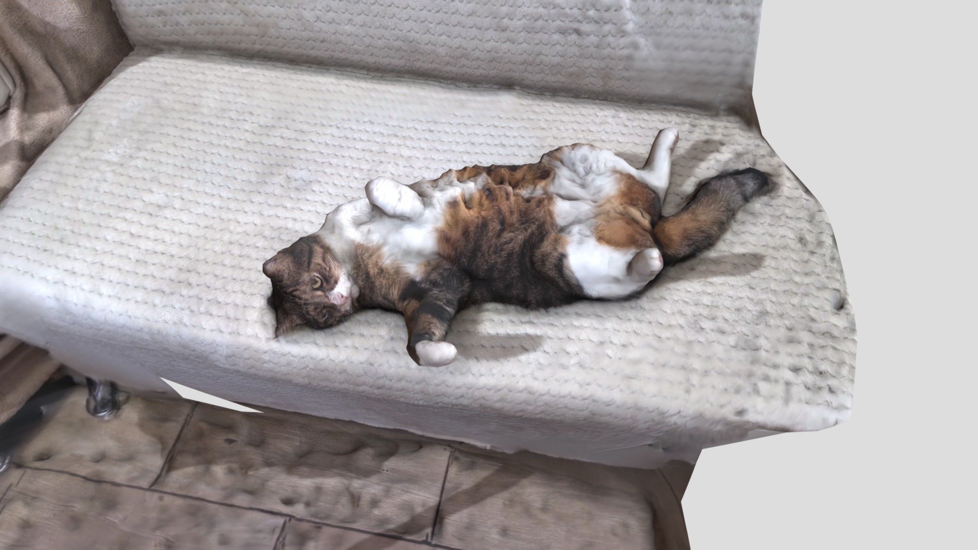 Hey CAT please dont move I'm scanning - 3D model by dmk (@.-_) [bb7e3f4 ...
