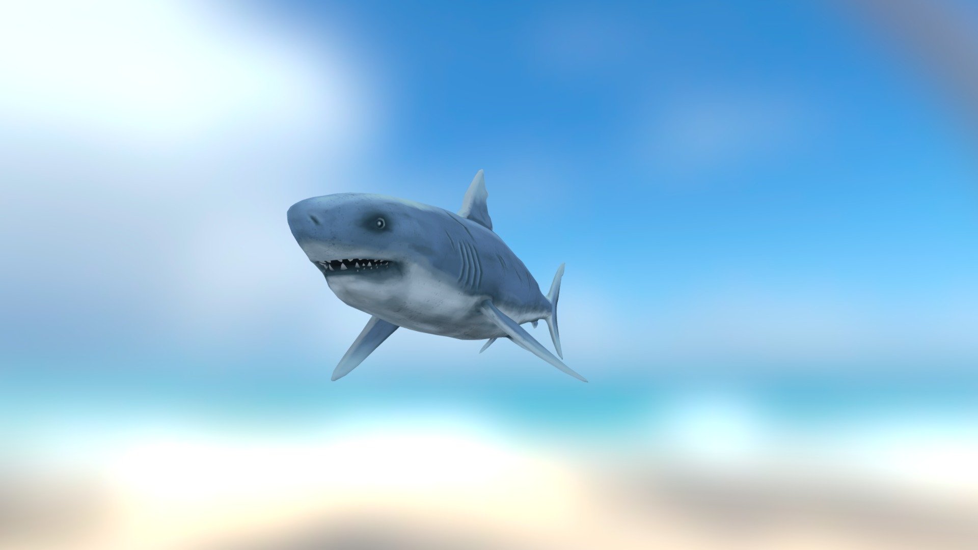 Shark - 3D model by MMKH [bb8060f] - Sketchfab