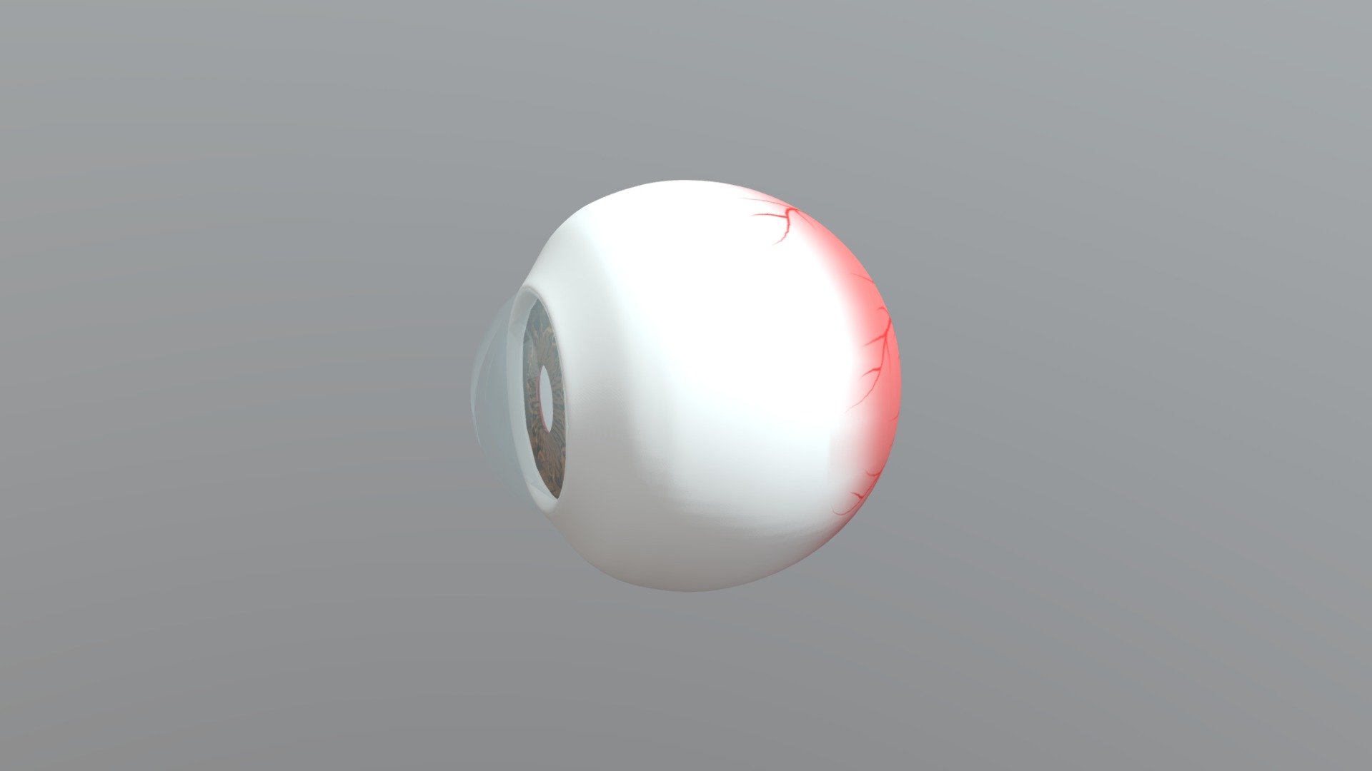 iBook Widget Model - 3D model by kate.snell [bb87588] - Sketchfab