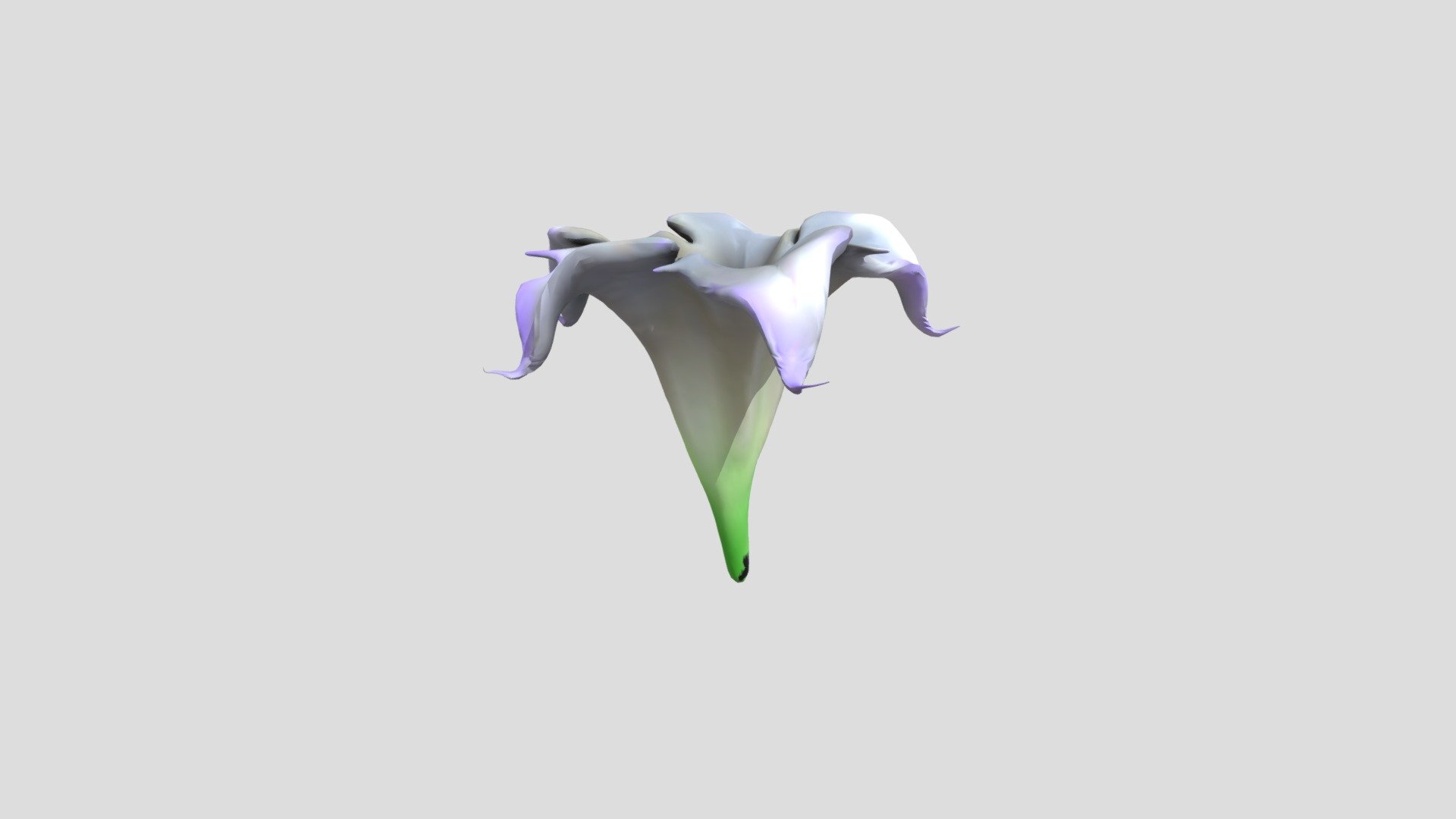 Flower Test - 3D model by ndpenny [bb99d83] - Sketchfab