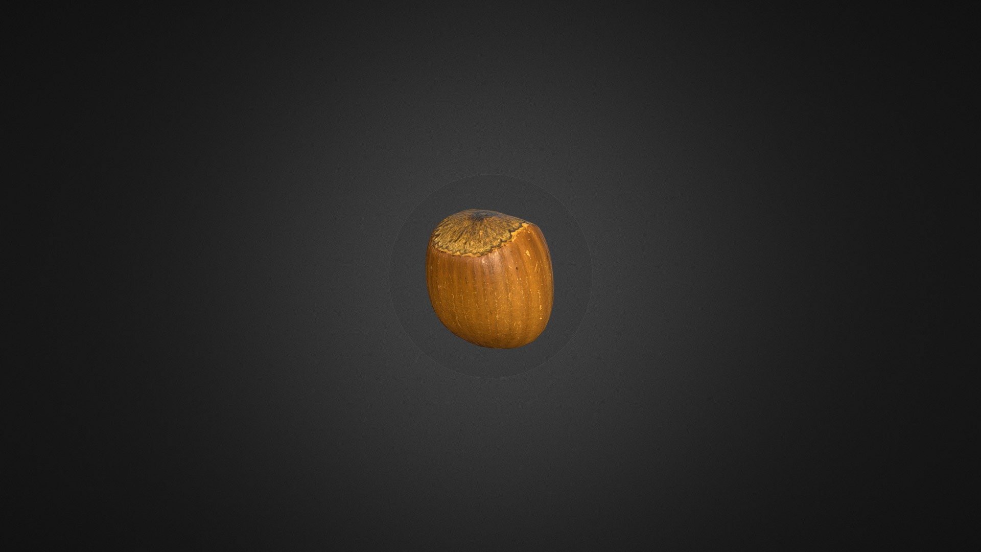 Hazelnut - Buy Royalty Free 3D model by Gewoelbe3DScan (@3dgewoelbescan ...