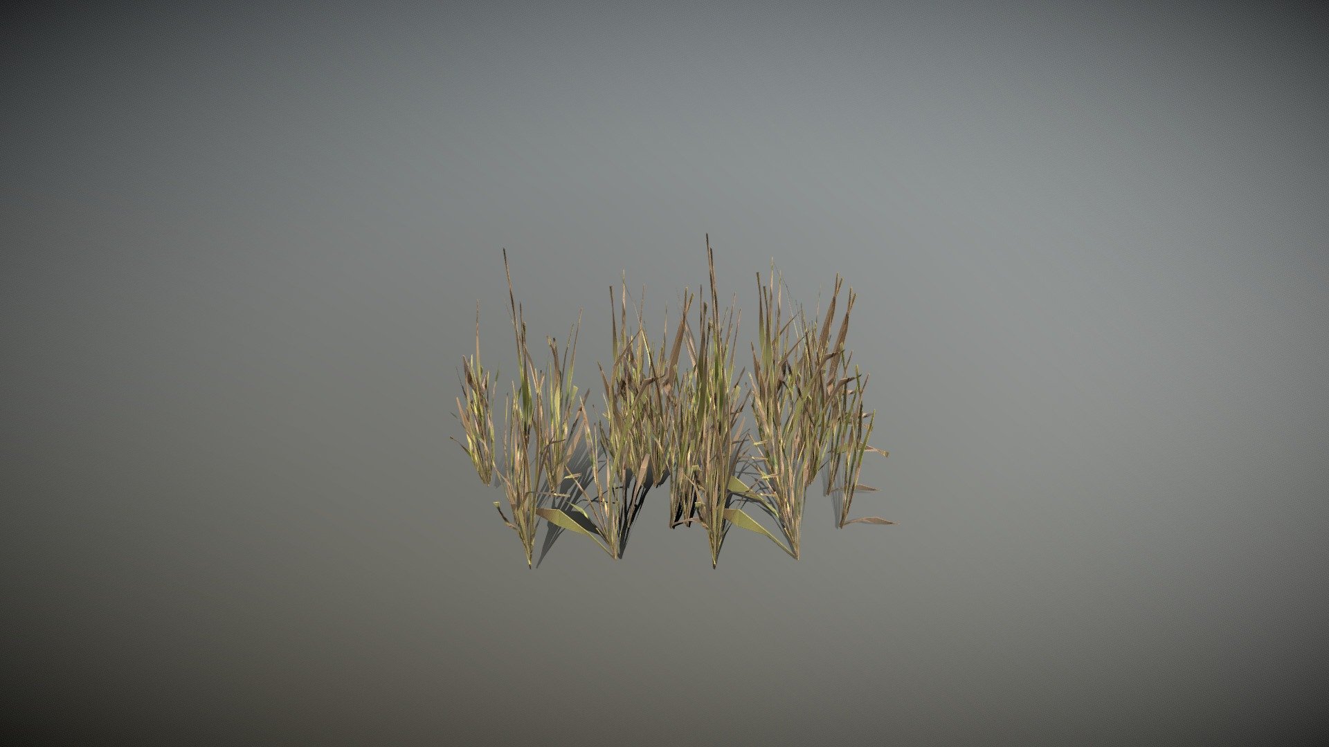 Grass PBR - Download Free 3D model by pleygreen [bbccb58] - Sketchfab