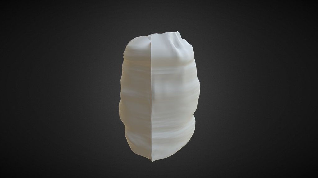 Medieval Flour Sack - 3D model by Niki Tantillo (@tntantillo) [bbd19f4 ...