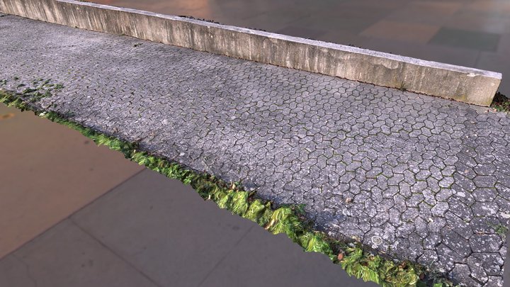 Pathway 3D models - Sketchfab