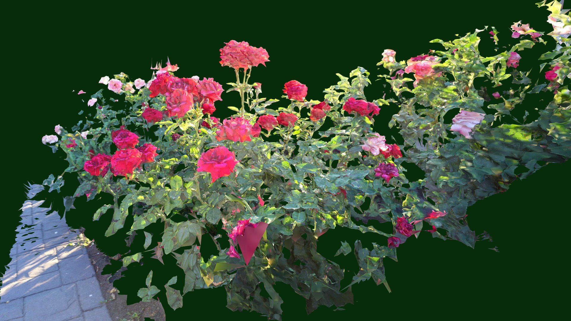 Red Red Roses - 3D model by John Toeppen (@toeppen) [bbdd9fc] - Sketchfab