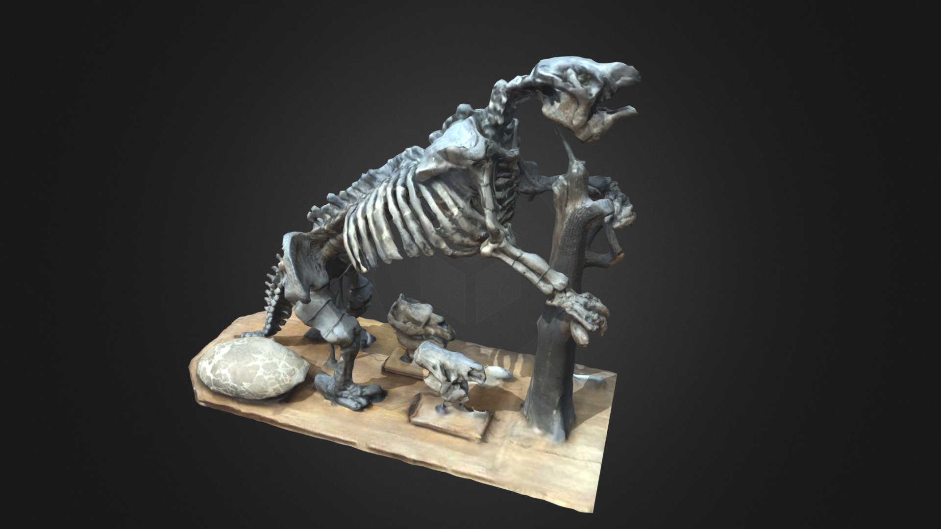 Megatherium (low model) - Download Free 3D model by Tavernier Amaury (@svtavernier) [bbdf746 ...